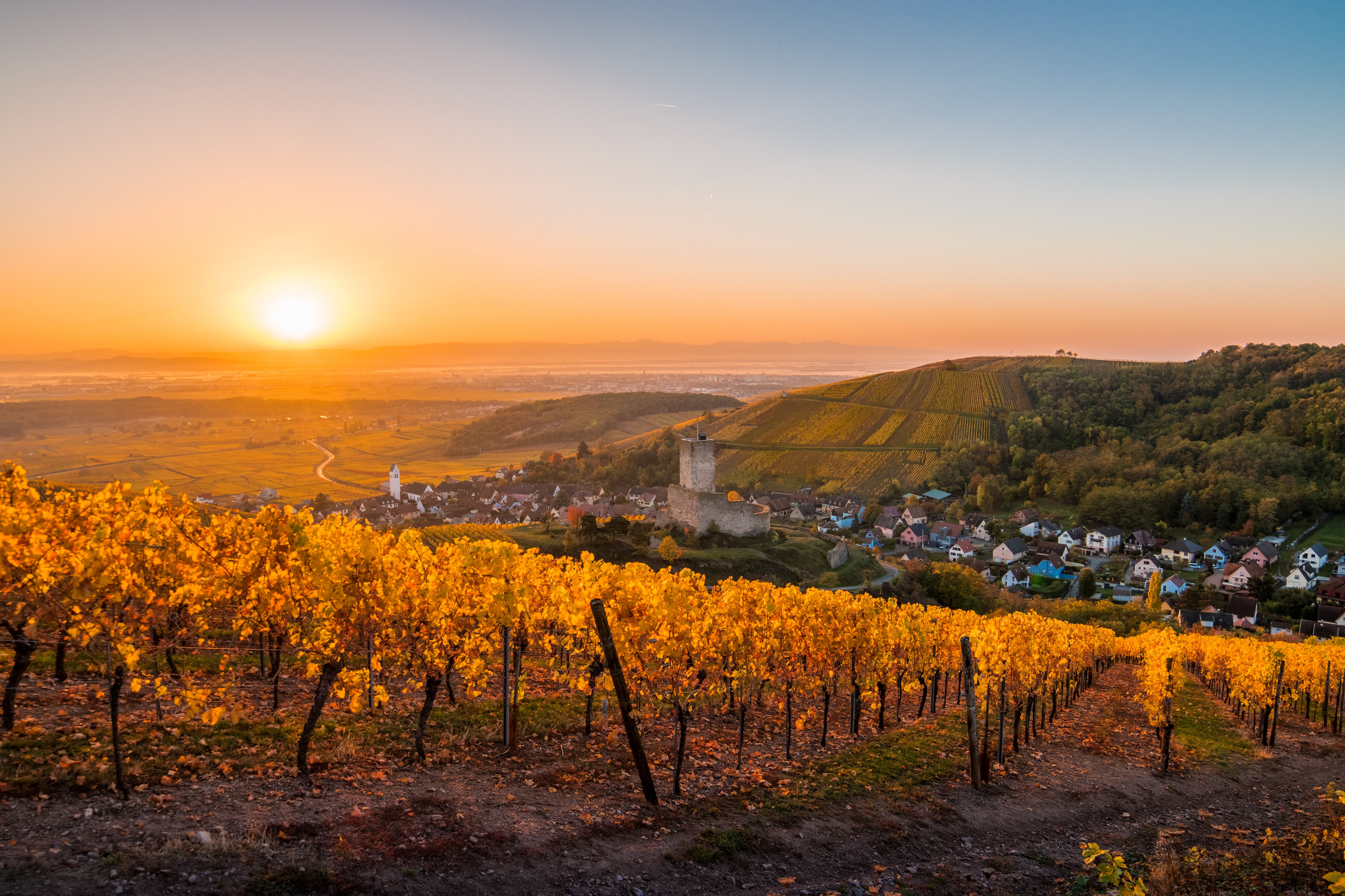 Les-meilleurs-spots-photos-d’Alsace - Bonjour Alsace